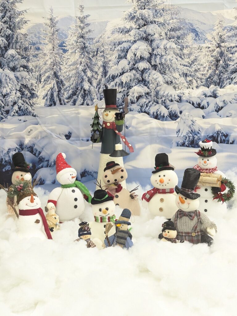 South Boston – Halifax County Museum of Fine Arts and History ...